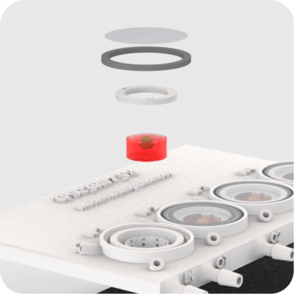 Organoid Microfluidic Bioreactor | ISMO Bio-Photonics